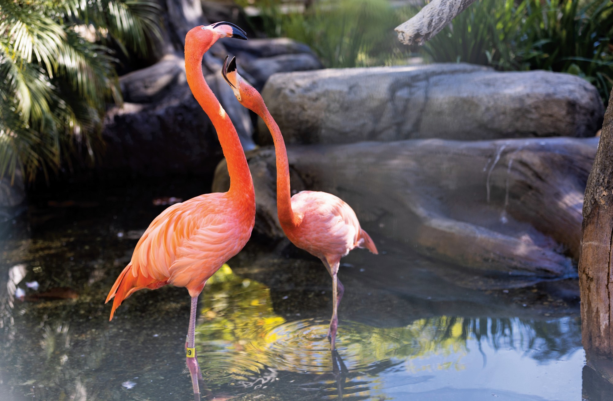 StoryMapJS: A Day in Community Center