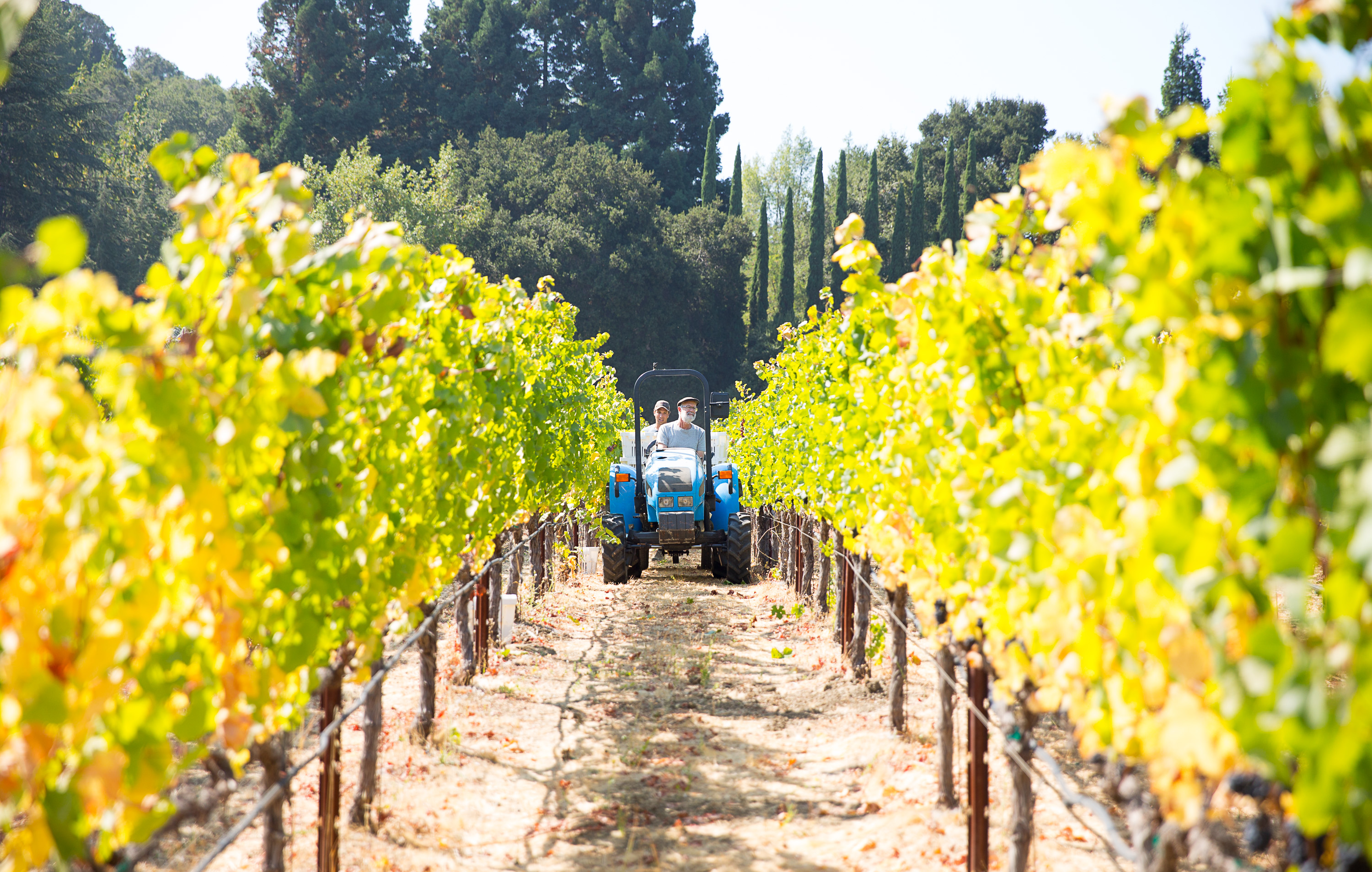 StoryMapJS: A Day in Portola Valley Ranch