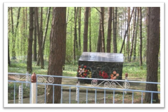 StoryMapJS: Rafalivka story