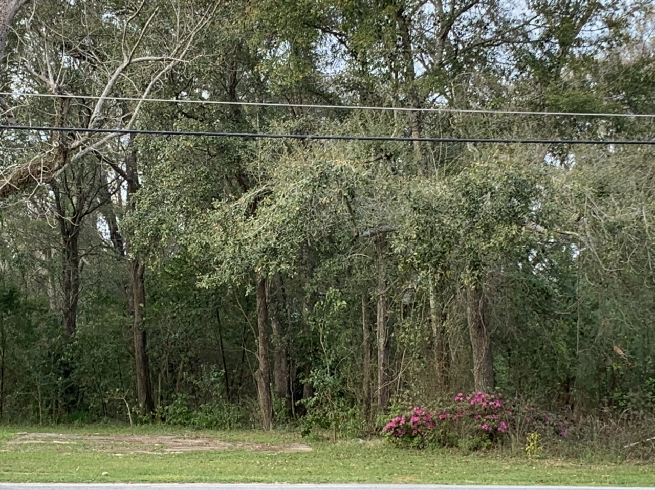 StoryMapJS: Preserving Fairhope