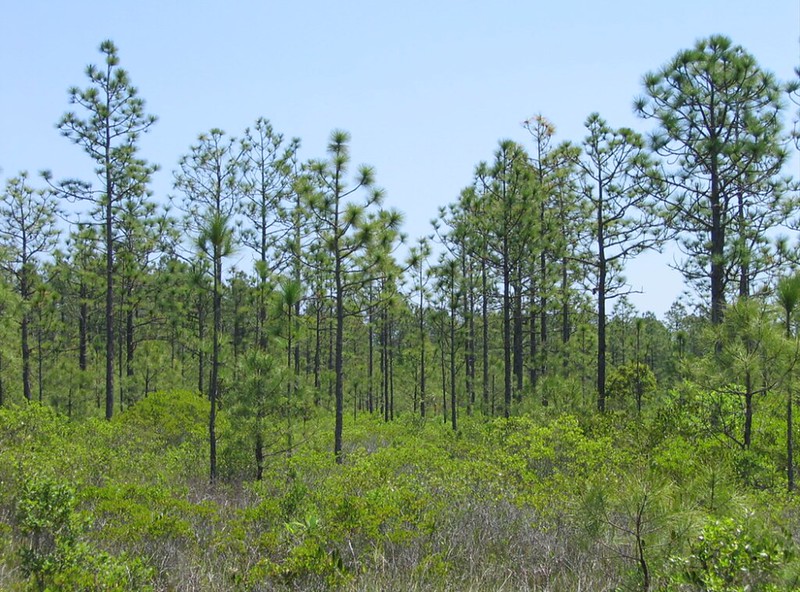 Interactive Maps Historic Bethabara Park