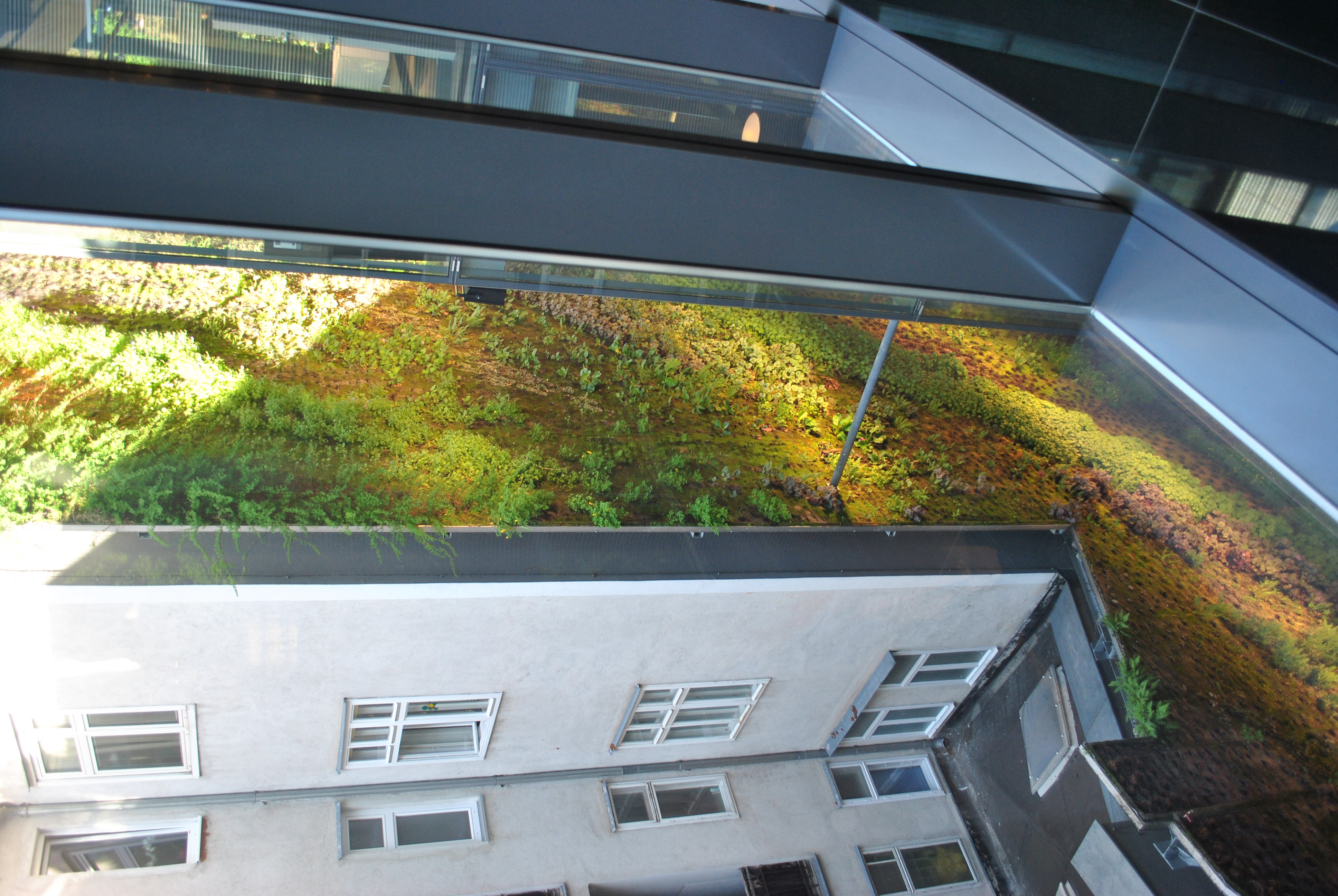 StoryMapJS: Vienna green