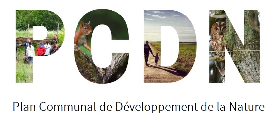 StoryMapJS: Projets PCDN