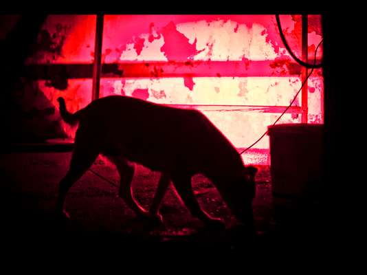 StoryMapJS: Hans Pozo